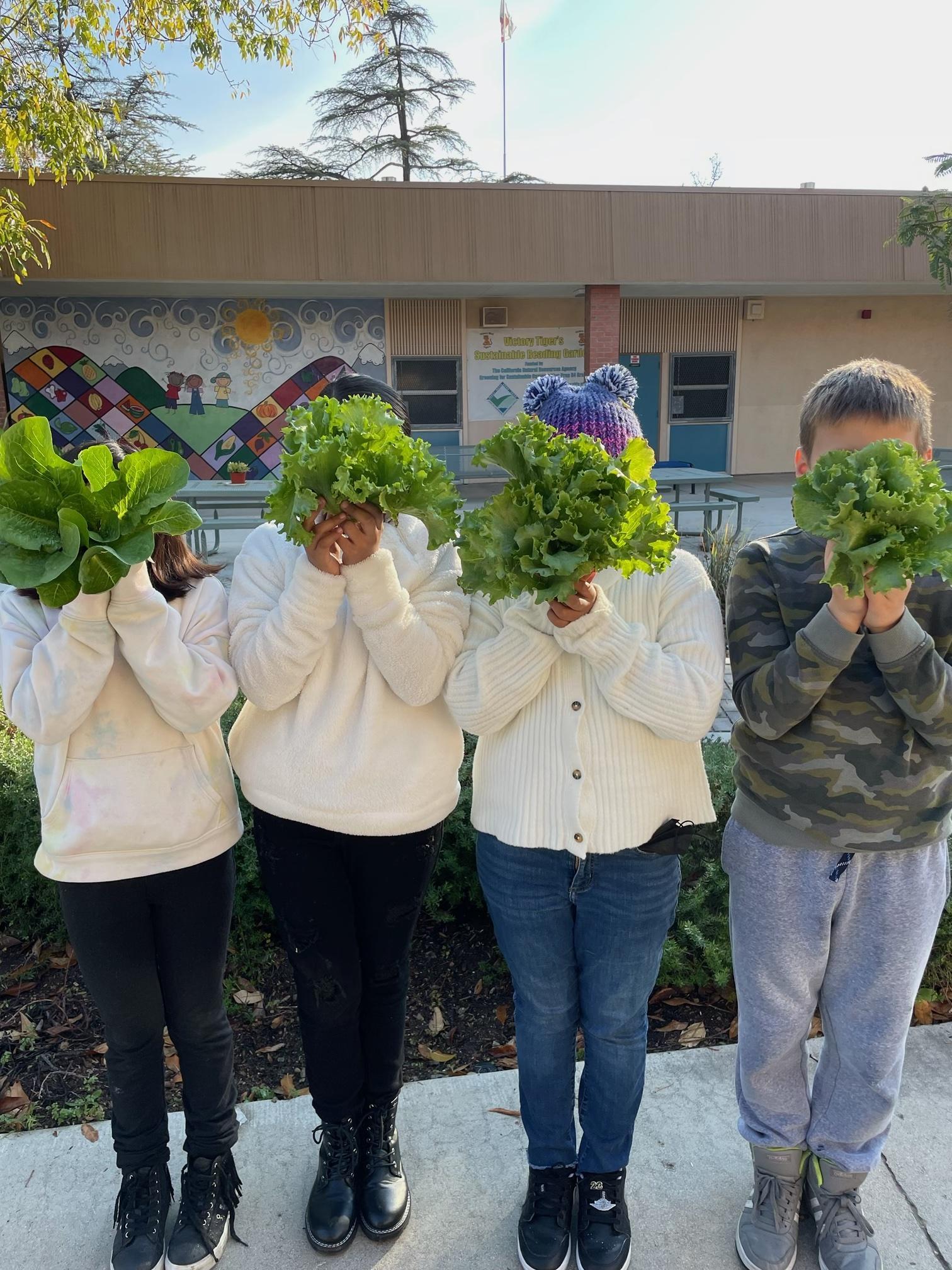 STEAM Magnet Classroom Activities and Photos – STEAM Magnet – Victory ...