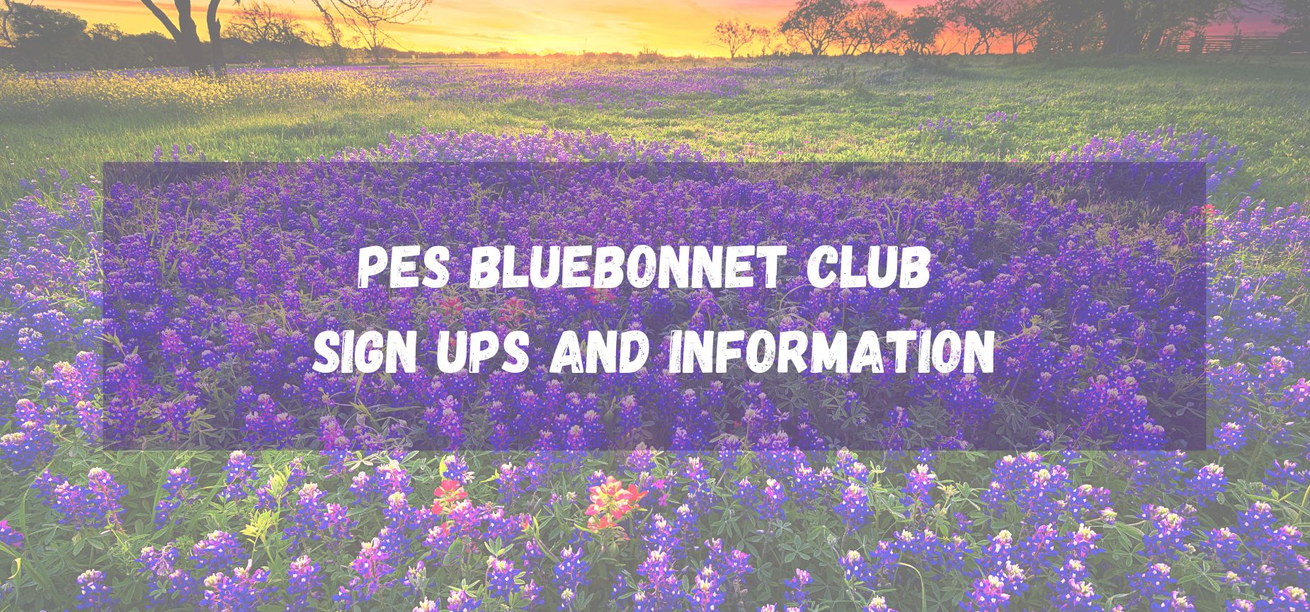 Puster Elementary School