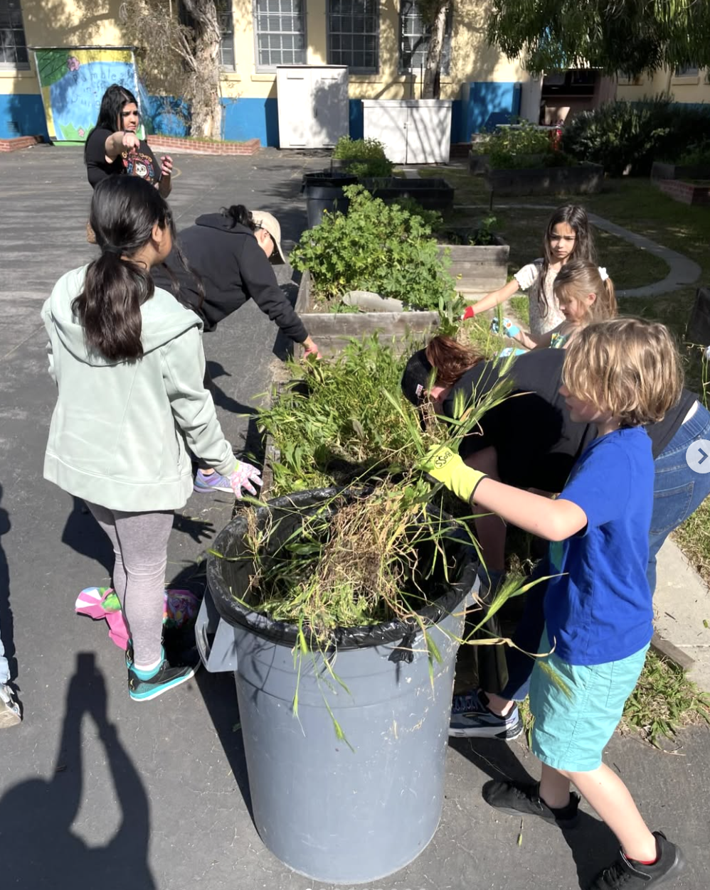 Gardening – Enrichment – Palms Elementary & School for Advanced Studies