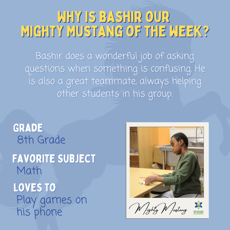 Mighty Mustang! | Minnesota Math and Science Academy