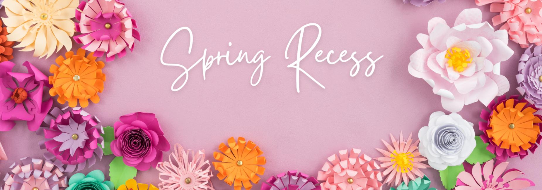 IS 238 Susan B Anthony Academy