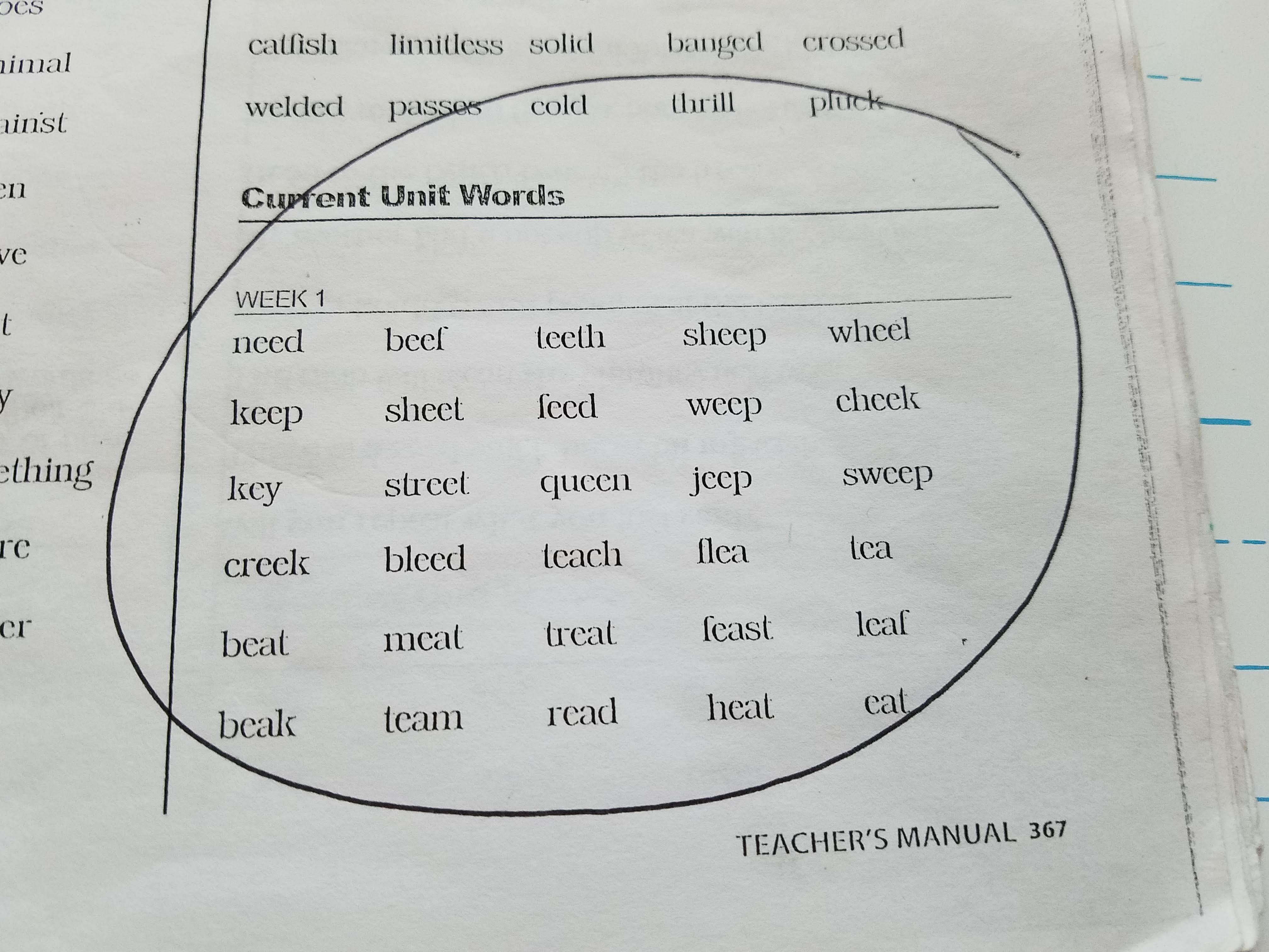 Fundations – Golab, Jami – West Hills Primary