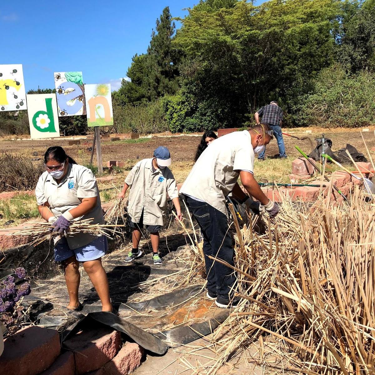 Buildings & Grounds – Vocational Programs – Ernest P Willenberg Special ...