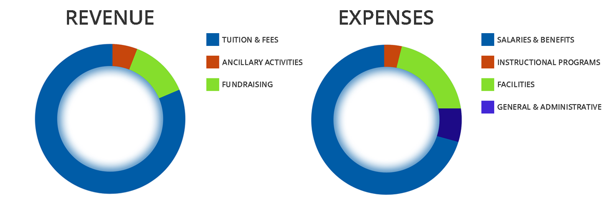 Financial Statement 2019-20 – Annual Fund – Crestview Preparatory School