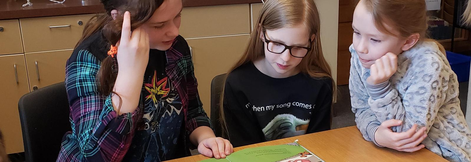 MEAD Learning Options