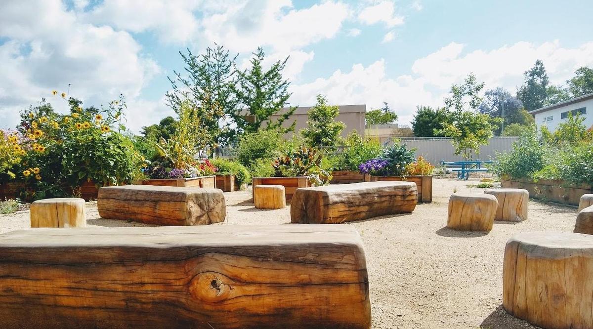 ESO - What We're Doing - Campus Ecology – Eco-Sustainability Office ...