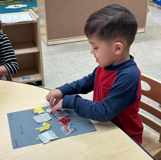 Reduce, Reuse, and Recycle Study – Curriculum – Murchison Early ...