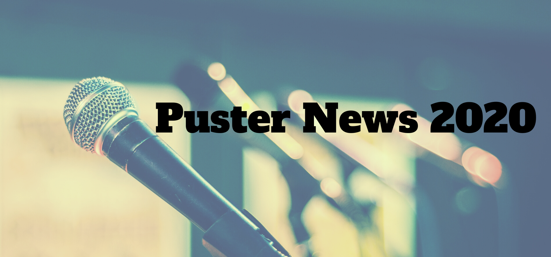 Puster Elementary School