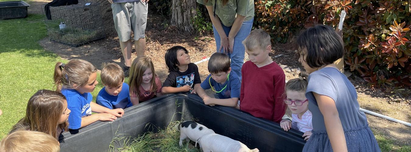 Sequoia Union Elementary School
