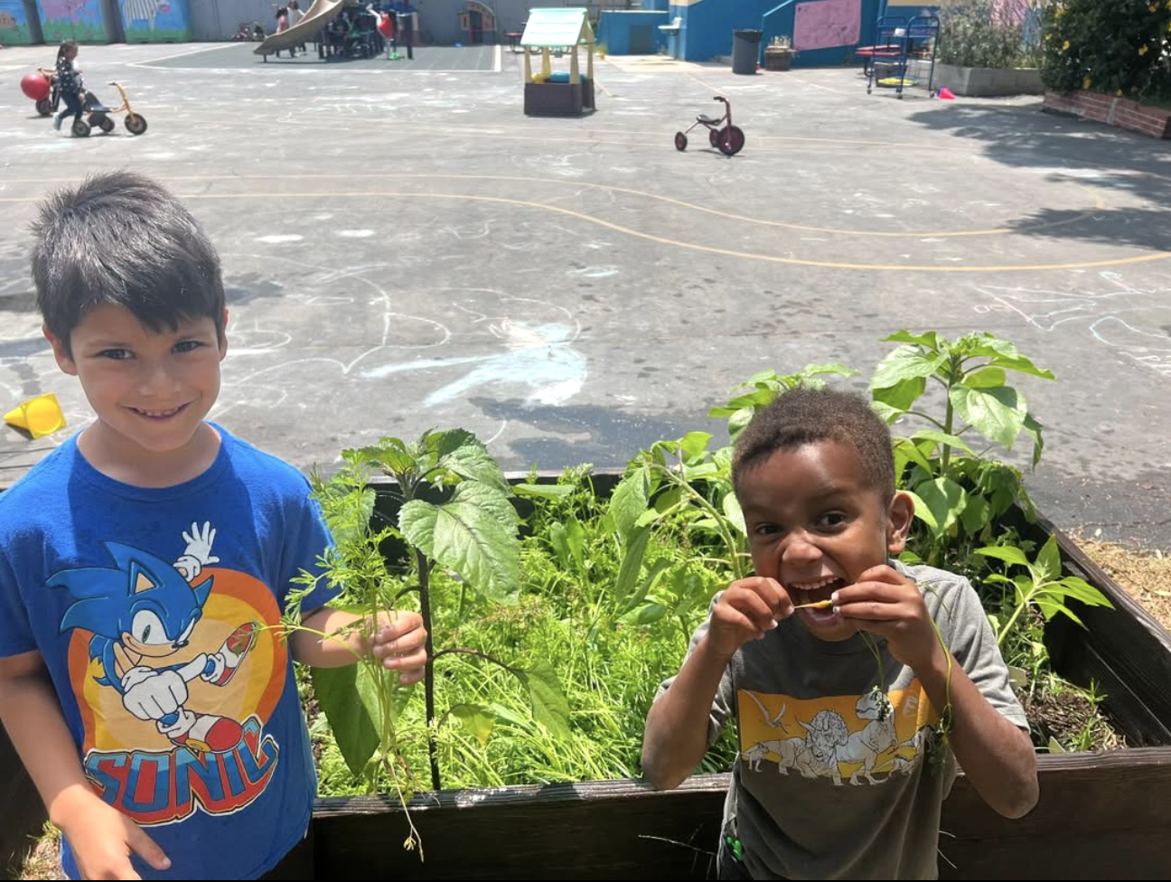 Gardening – Enrichment – Palms Elementary & School for Advanced Studies