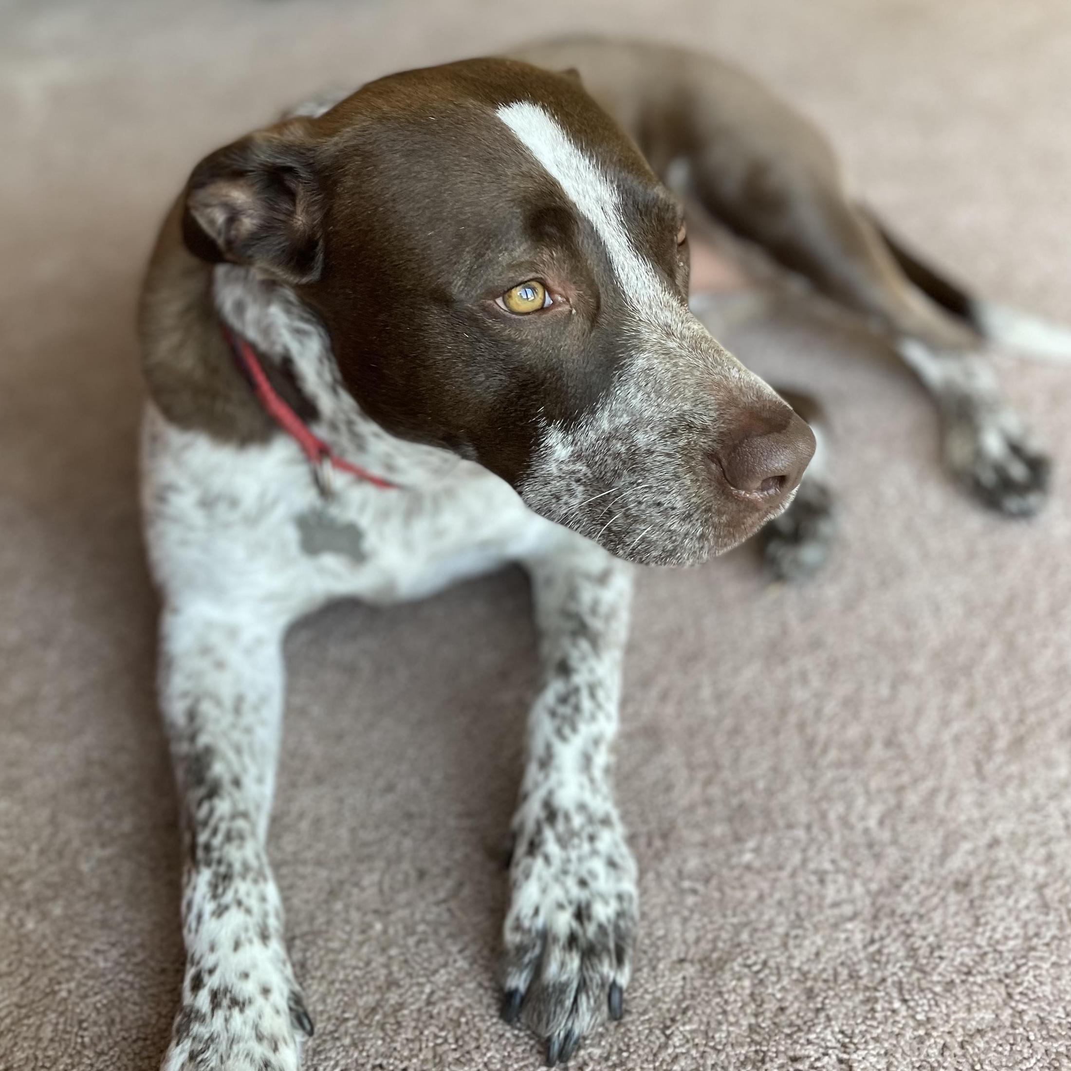 Principal's Welcome – About – G. Kerkstra Elementary School