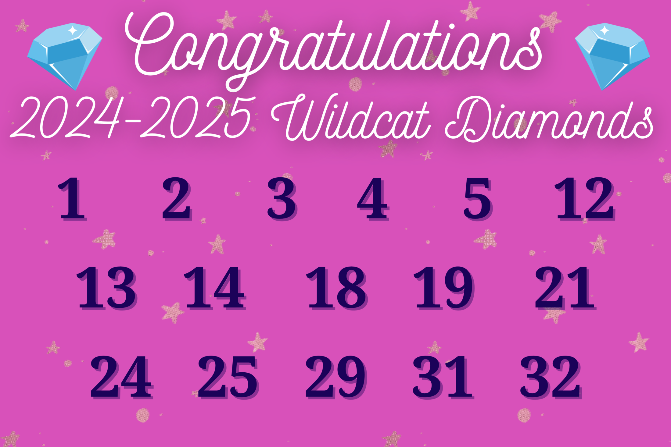 Diamonds Drill Team – Clubs and Activities – Memorial Middle School