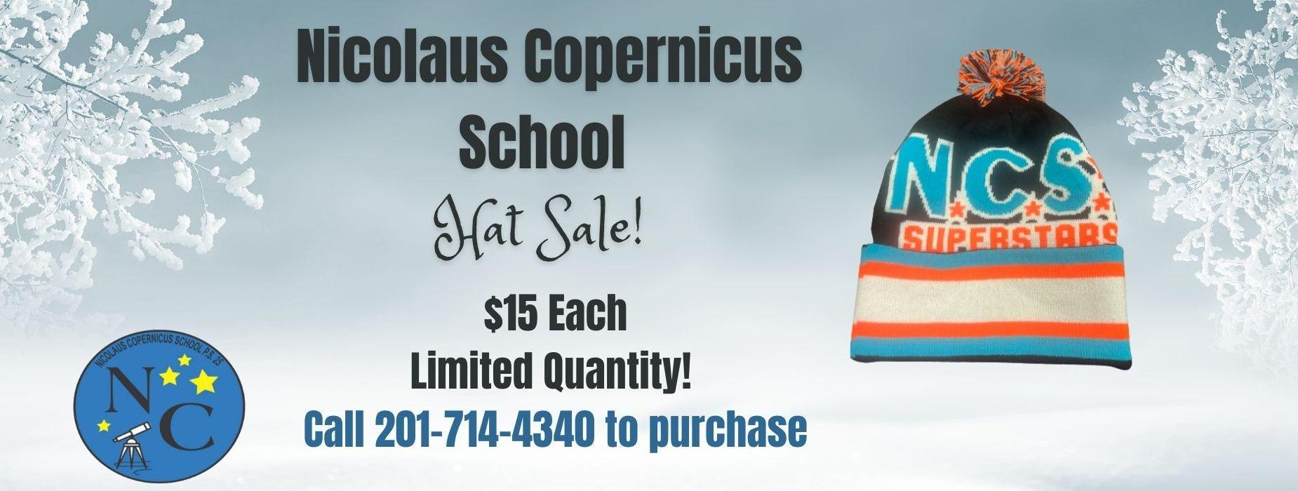 Nicolaus Copernicus School, PS #25