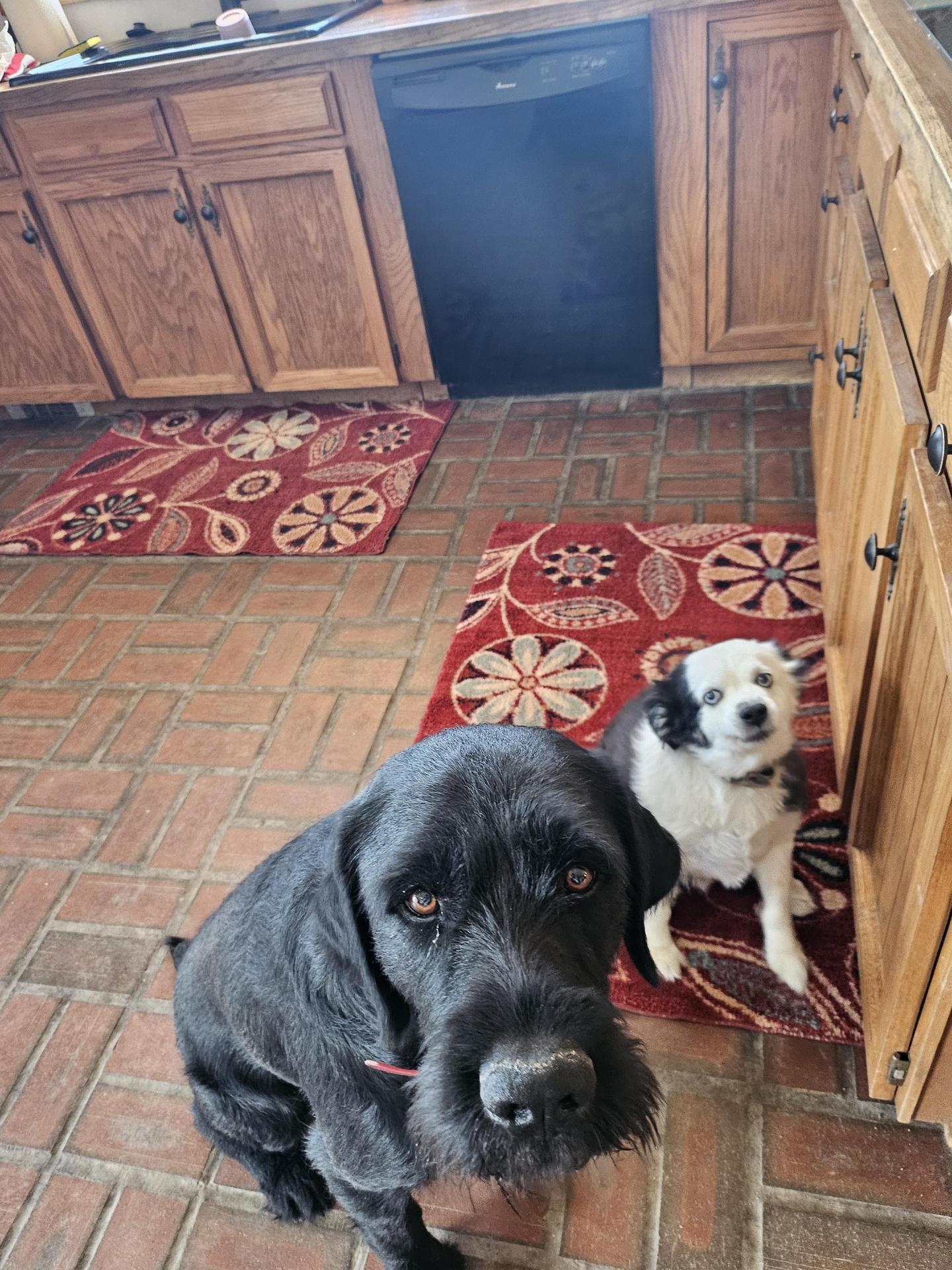 Meet Our Teachers – Sixth Grade – Parker Core Knowledge Charter School