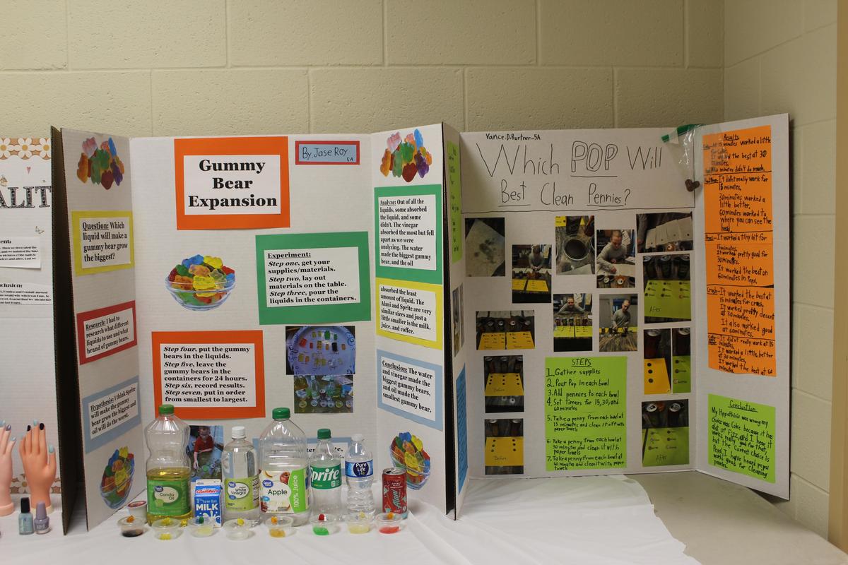 Students Shine at Elementary Science Fair | DuBois Central Catholic