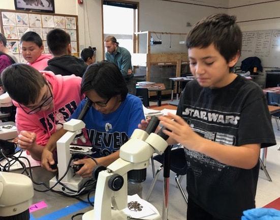 Curriculum – Anvil City Science Academy – Nome Public Schools