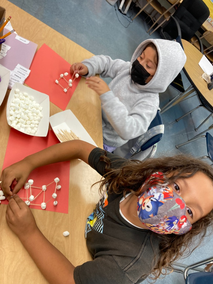 Magnet – MAGNET – 232nd Place School & STEMM Magnet