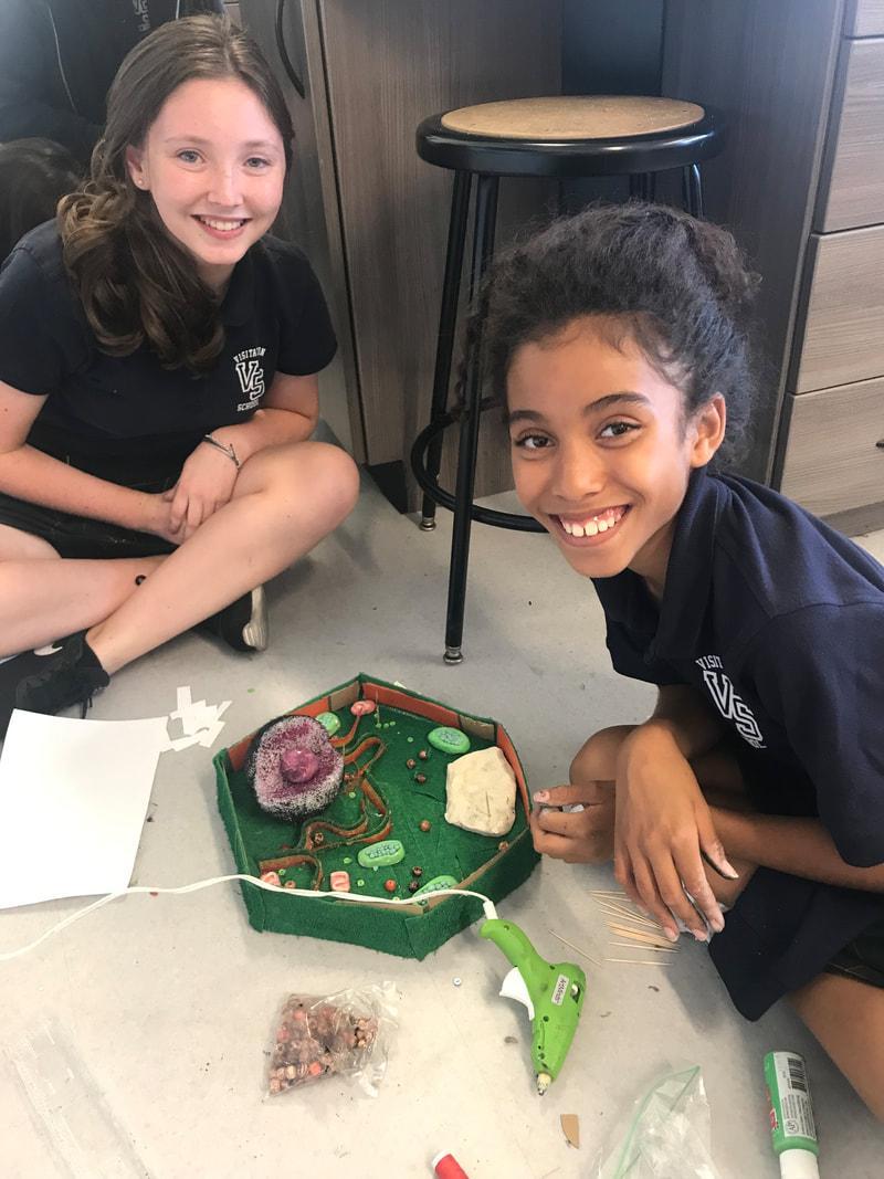 Science – Junior High – Visitation Elementary School