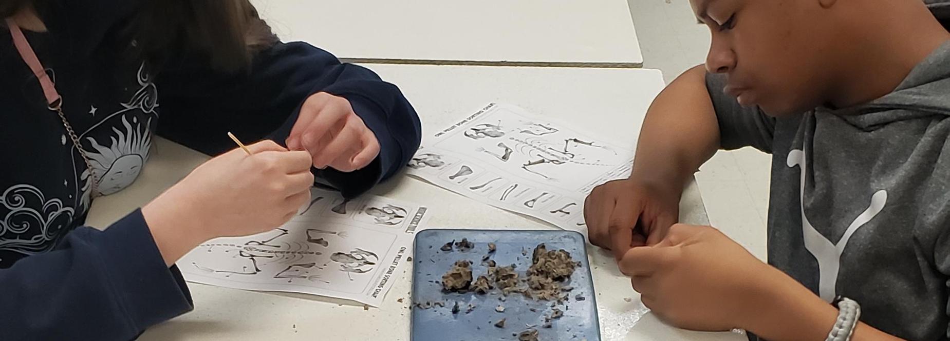 Covington Integrated Arts Academy