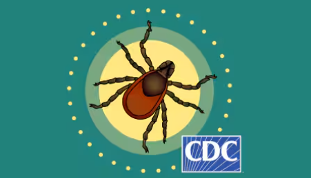 Tickborne Disease Information – Health Services – Norwin School District
