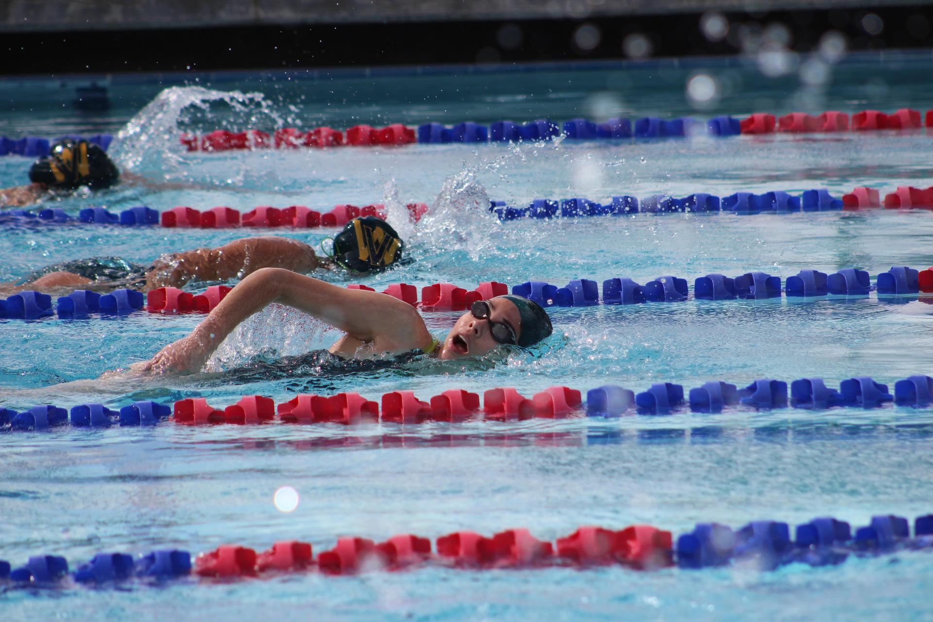 Viking Swim & Dive Team - Athletic Teams - West High School