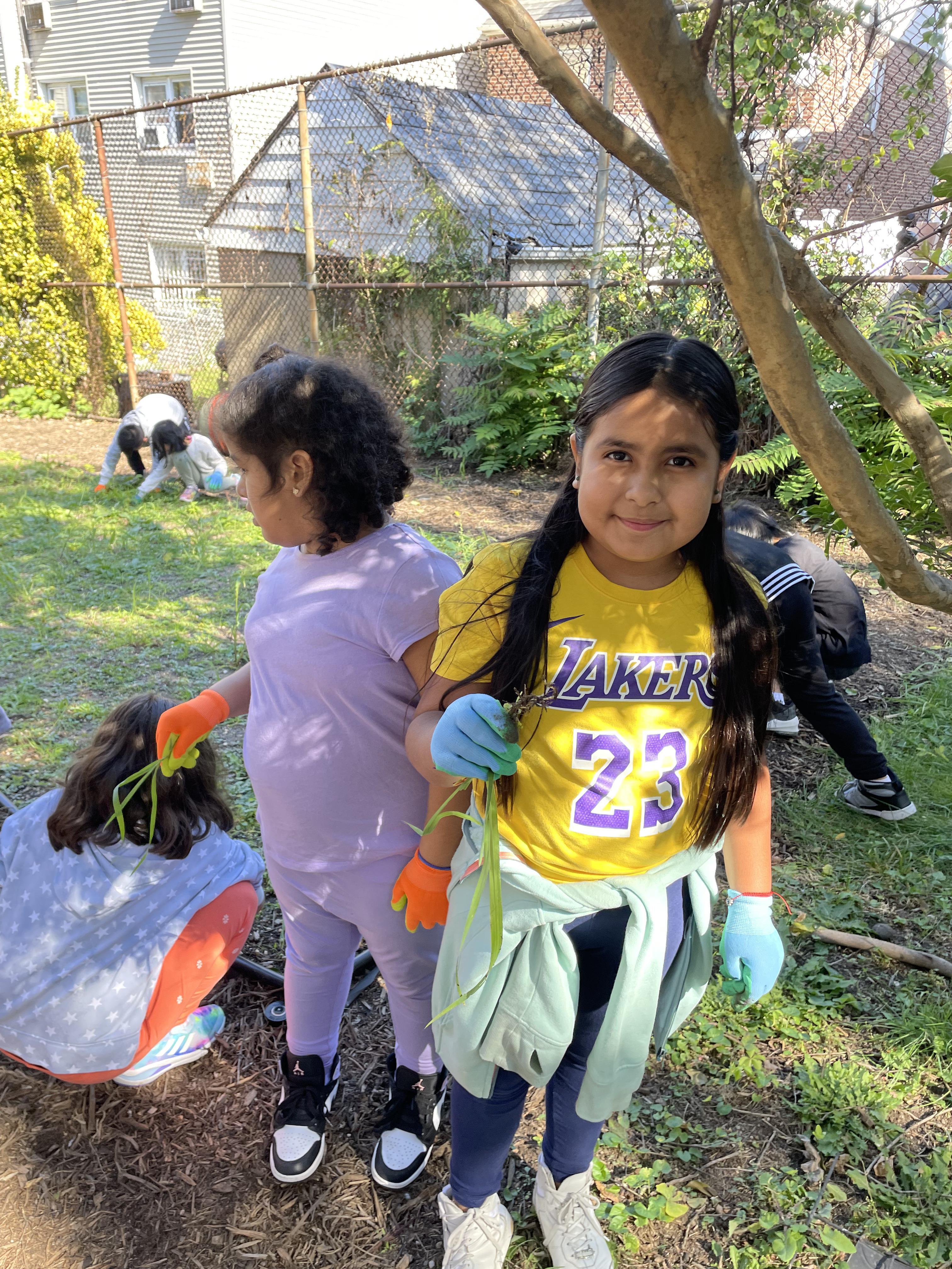 Project Based Learning - Science – Project Based Learning – PS 229 ...