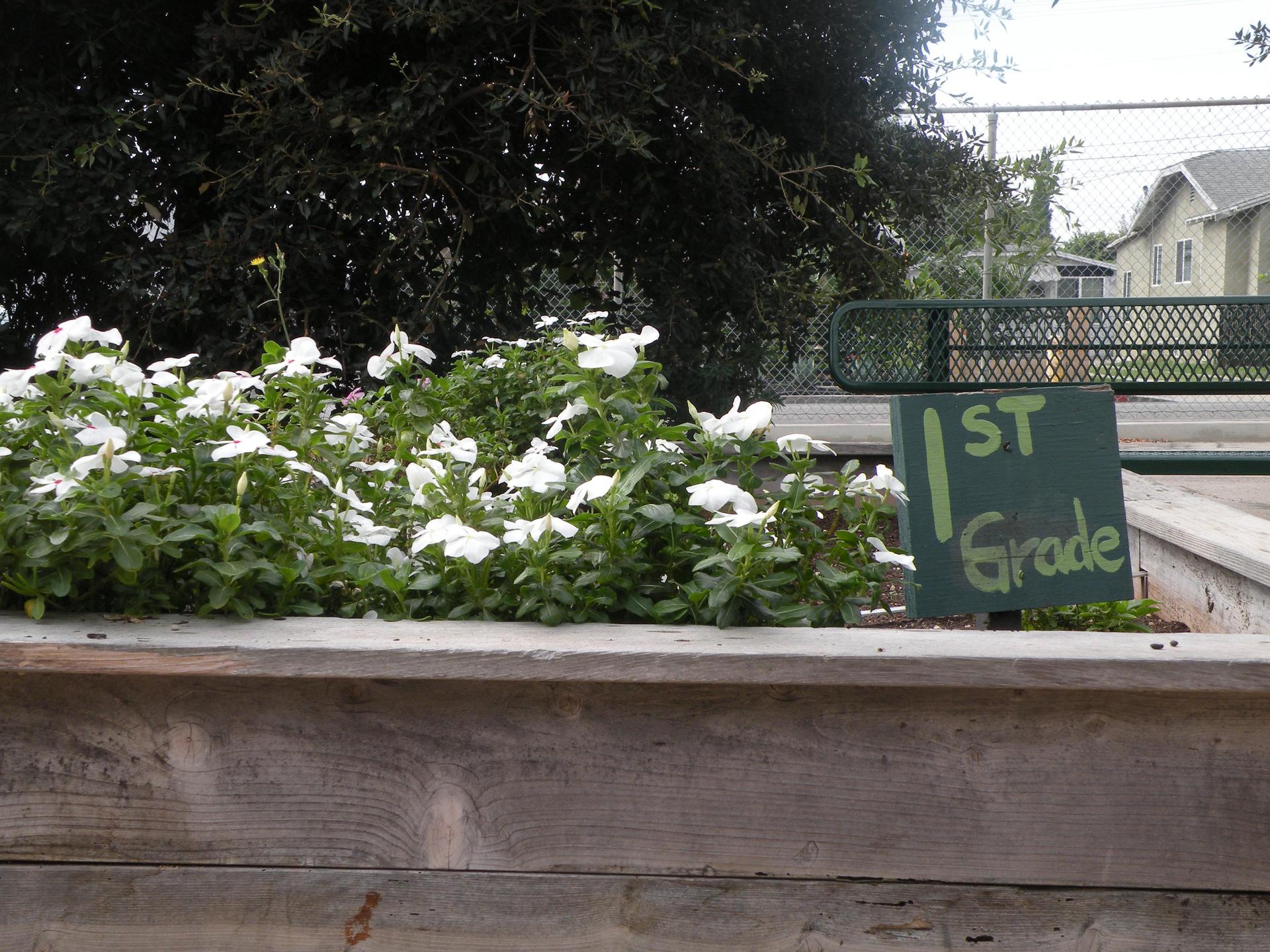 Stanford Garden – Academics – Stanford Avenue Elementary