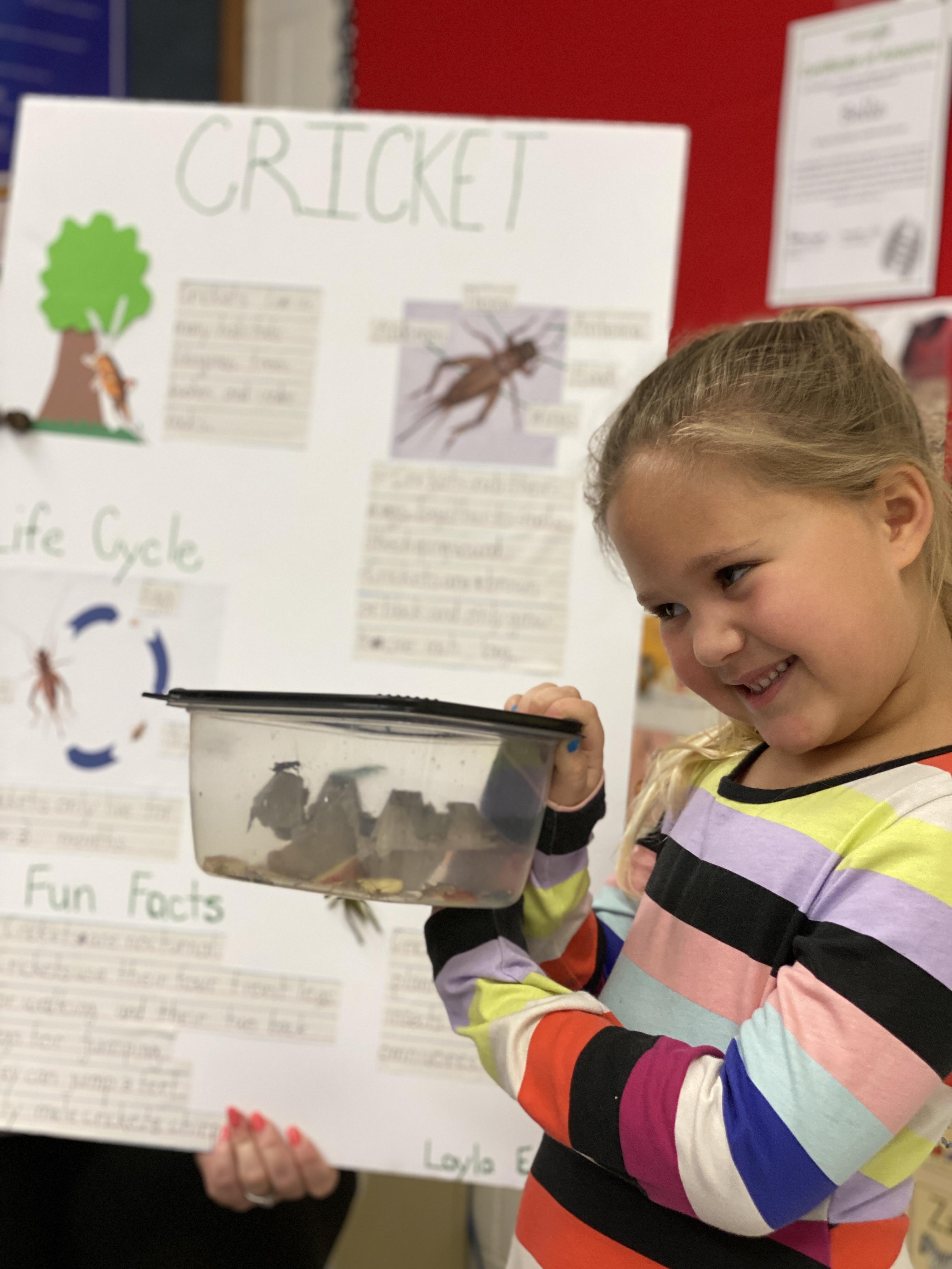 Westwind Kindergarteners Study Insect Life Cycles | Westwind Elementary ...