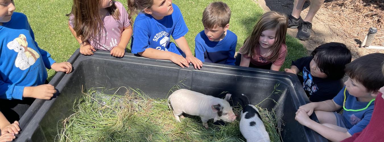 Sequoia Union Elementary School