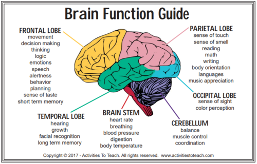 Welcome to Mrs. Bogle's class - Elizabeth Bogle - Rocky Fork Middle Schoo