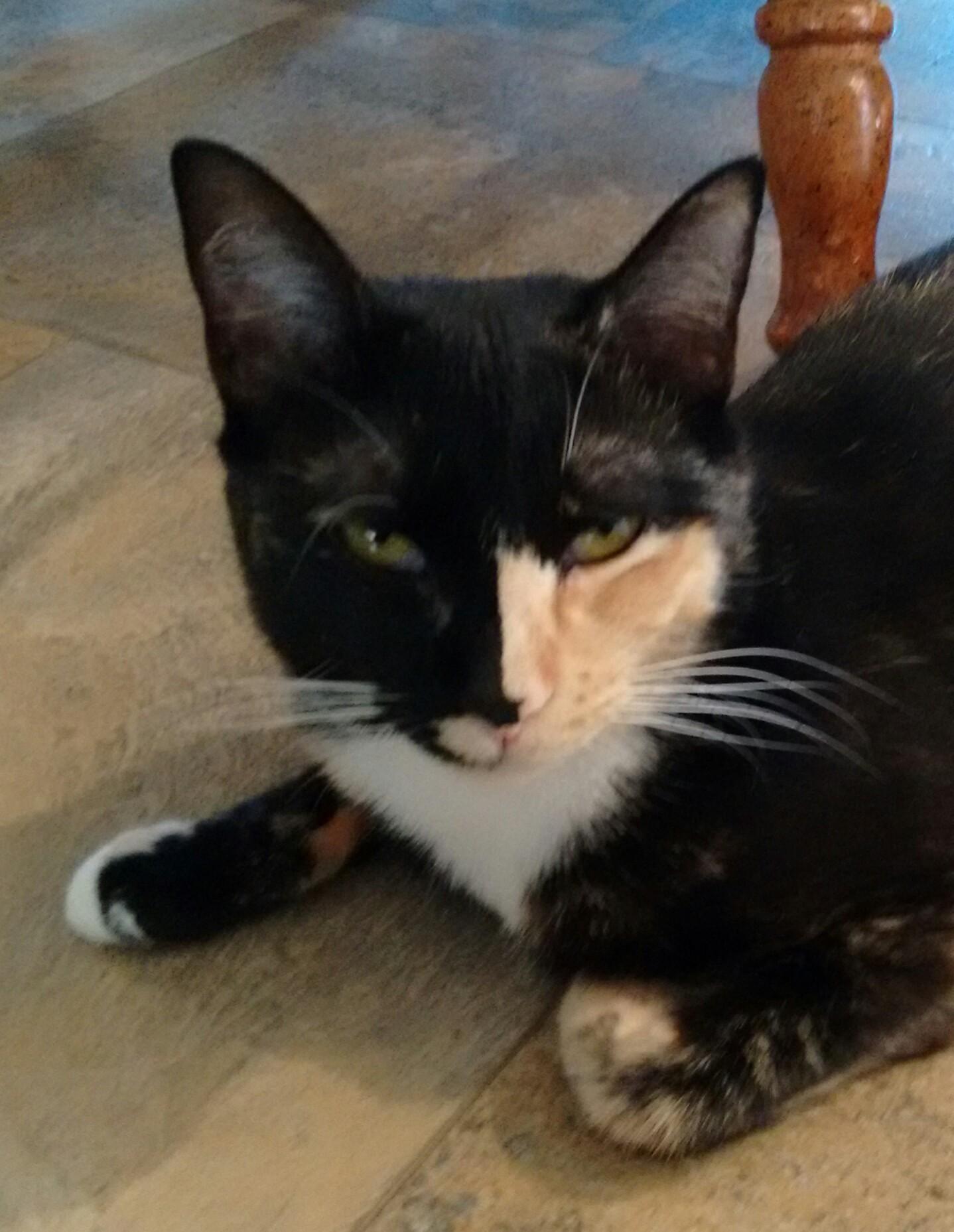 Pictures – Jean Hutton – Mountain Oaks School