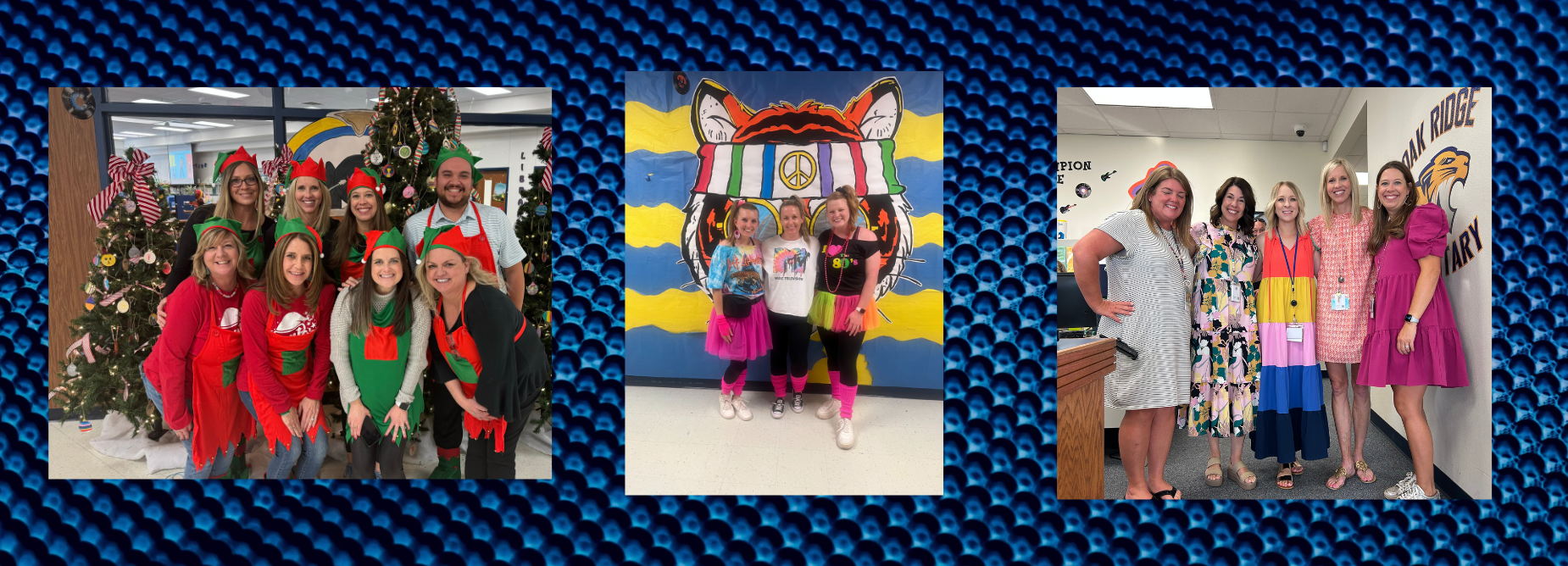 Oak Ridge Elementary School