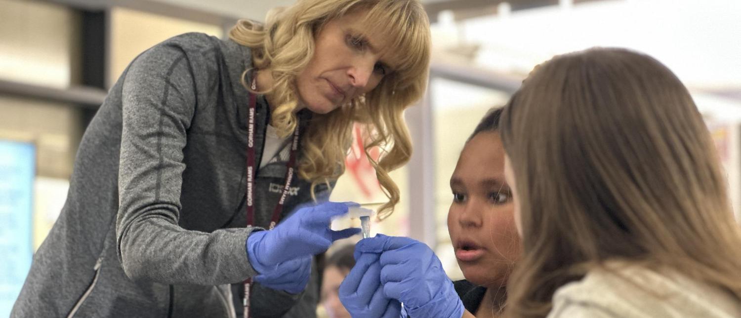 Gorham School District