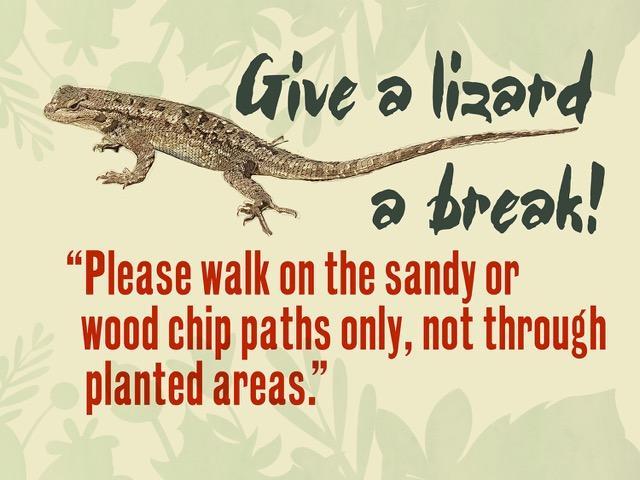 Caring For The Wildlands – Walgrove Wildlands – Walgrove Avenue Elementary