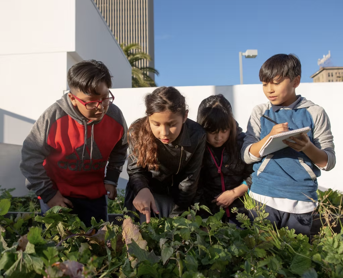 Vision and Mission – About – UCLA Community School