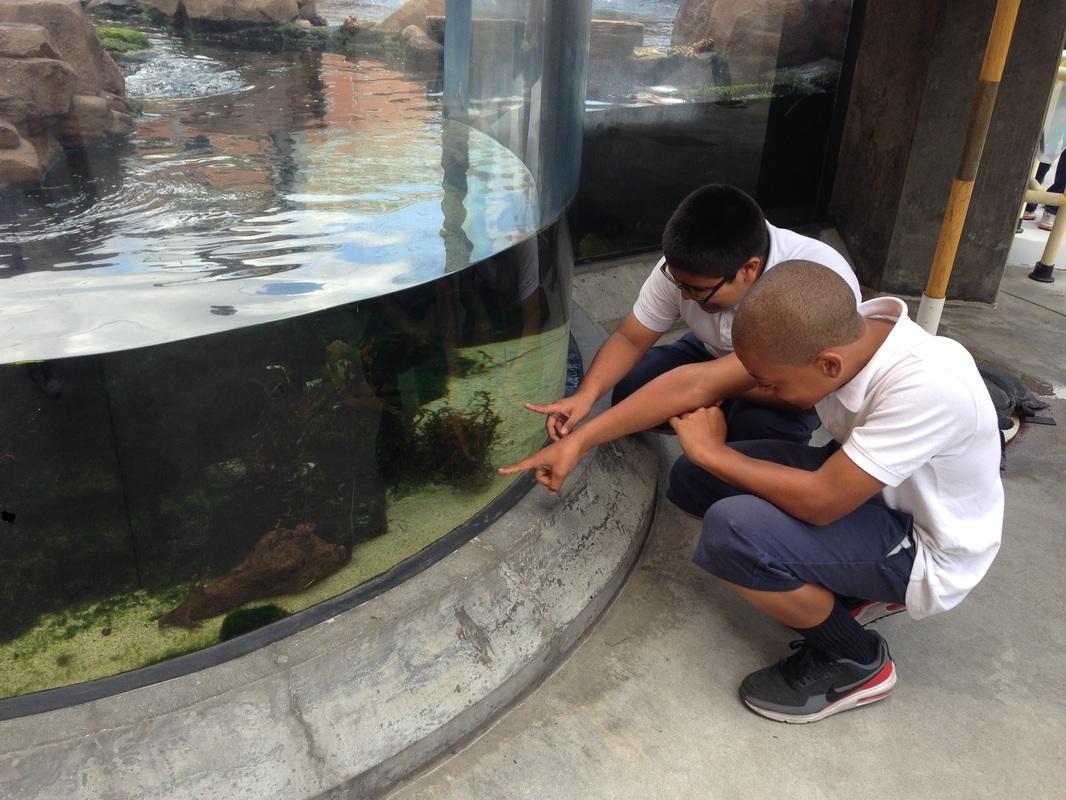 Field Trips – Elementary – Harry Bridges Span School