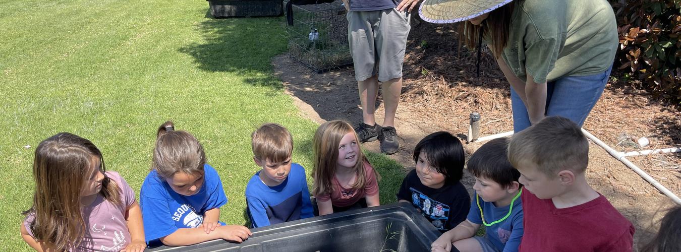 Sequoia Union Elementary School