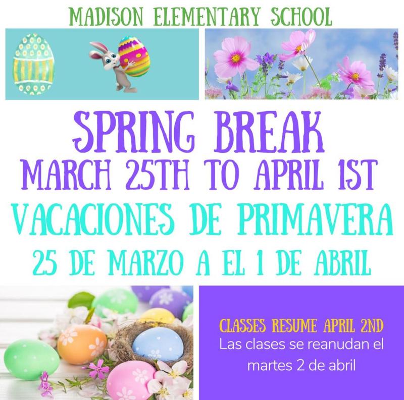 News | Madison Elementary