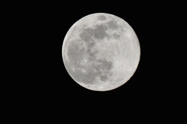 SRMS Library – Specials Classes – Slippery Rock Area SD