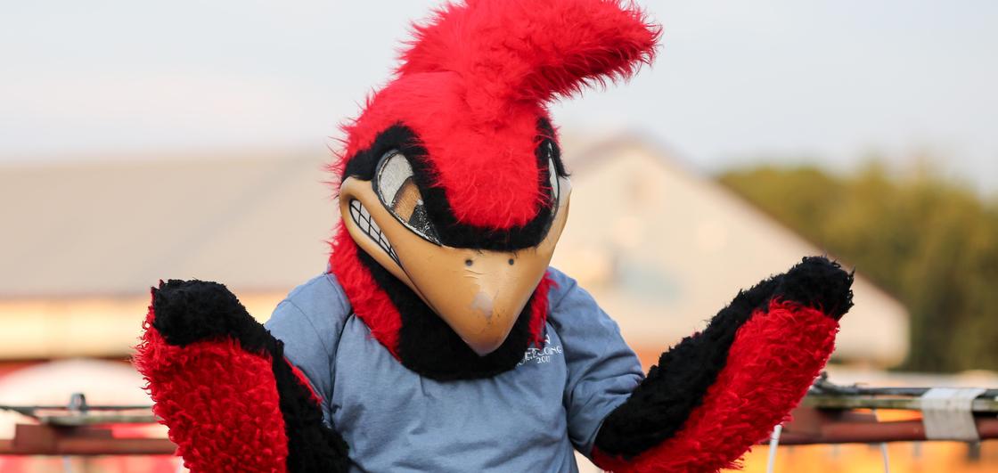 E.D. White Catholic High School