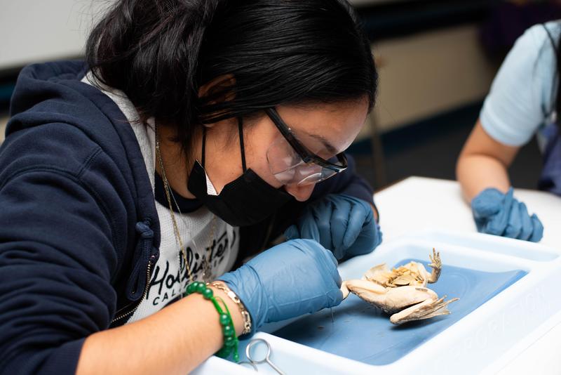 7th Grade Science Experiment! | Saint Joseph Pro-Cathedral School