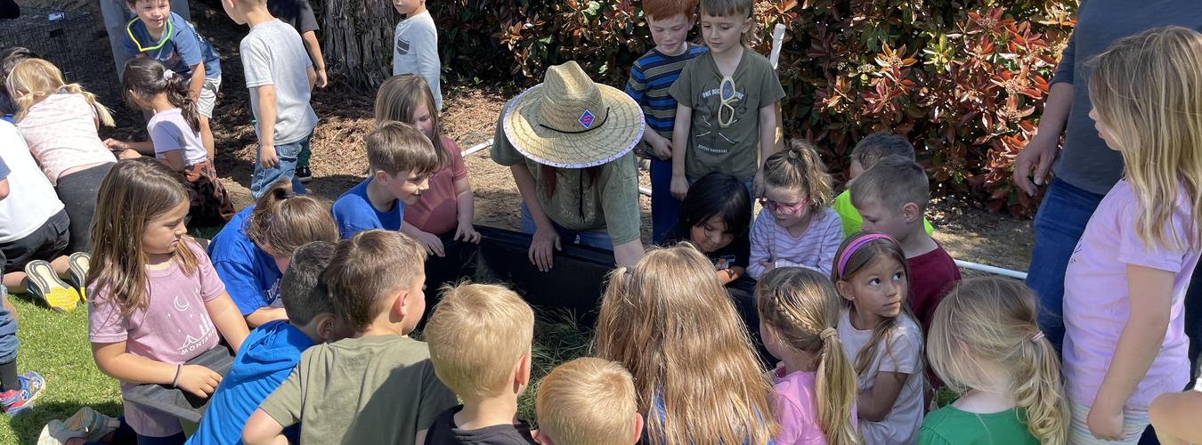 Sequoia Union Elementary School