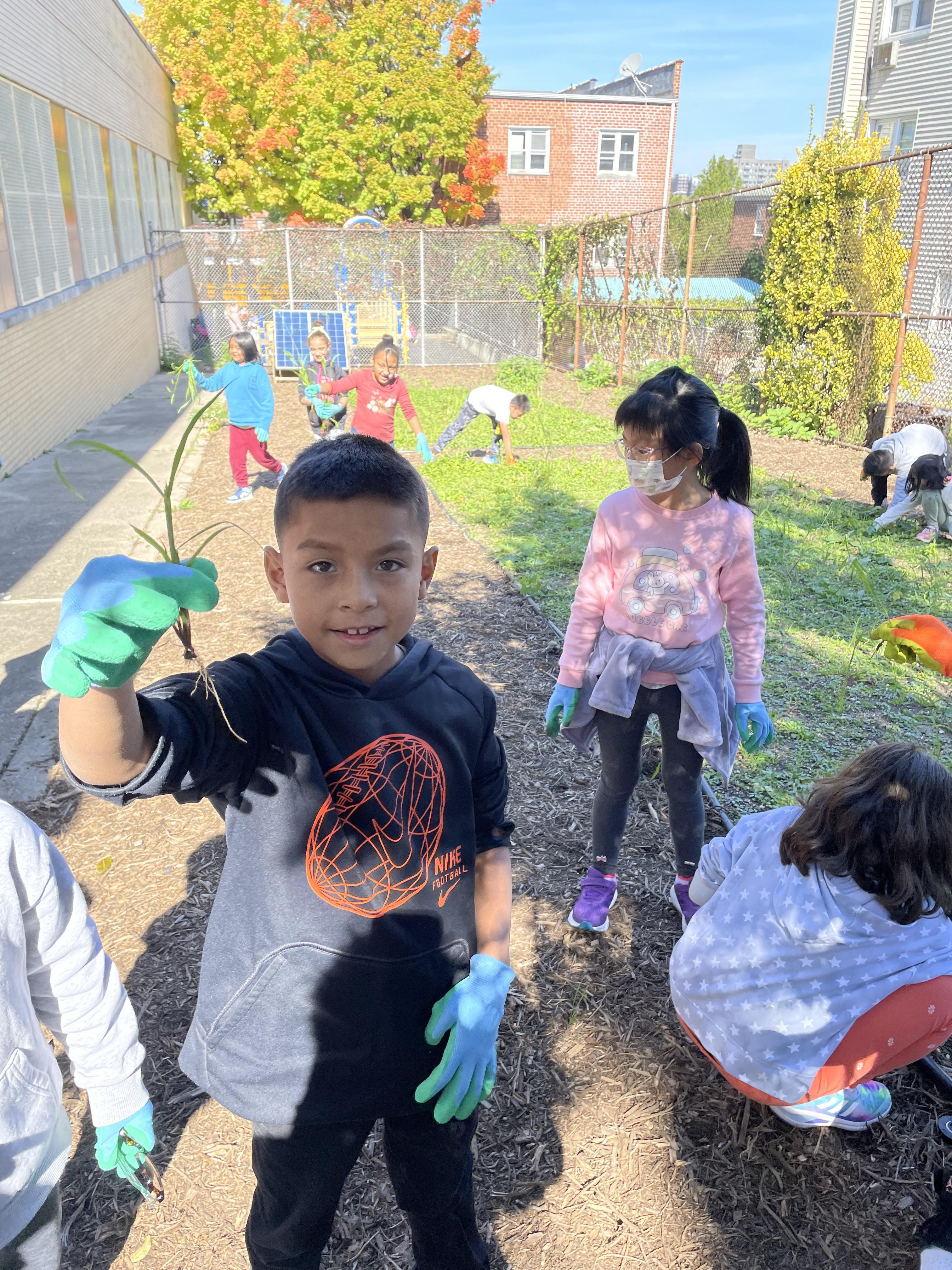 Project Based Learning - Science – Project Based Learning – PS 229 ...