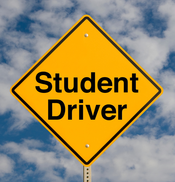 DP Lions Share (11–12) - Newsletters - Meridian School