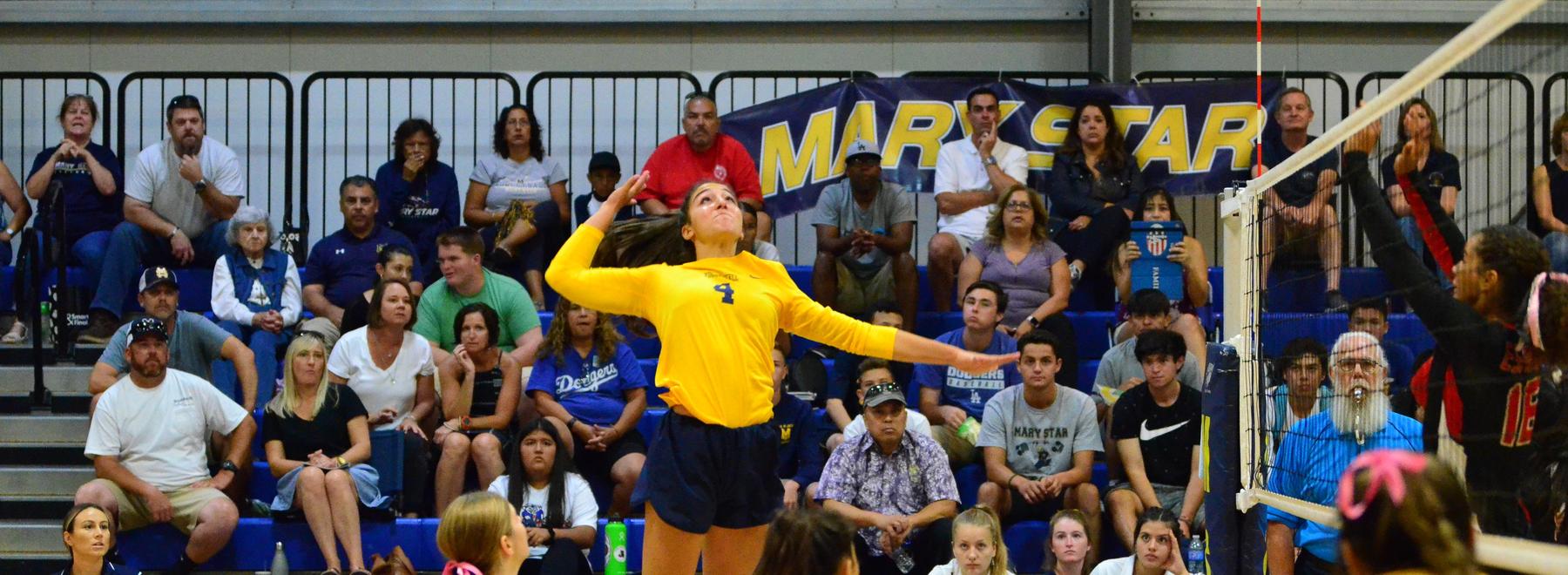 Mary Star of the Sea High School