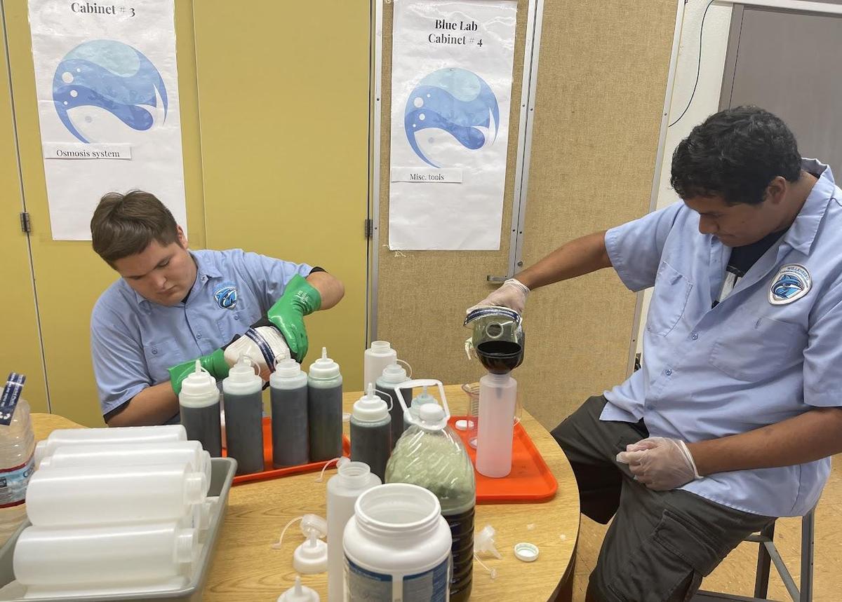 Blue Lab – Vocational Programs – Ernest P Willenberg Special Education ...