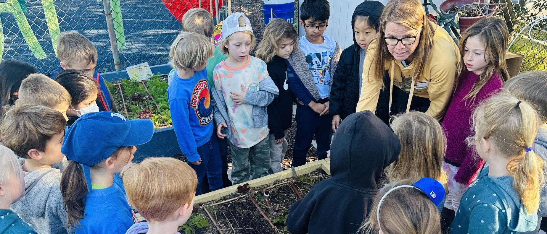 Meadows Elementary School