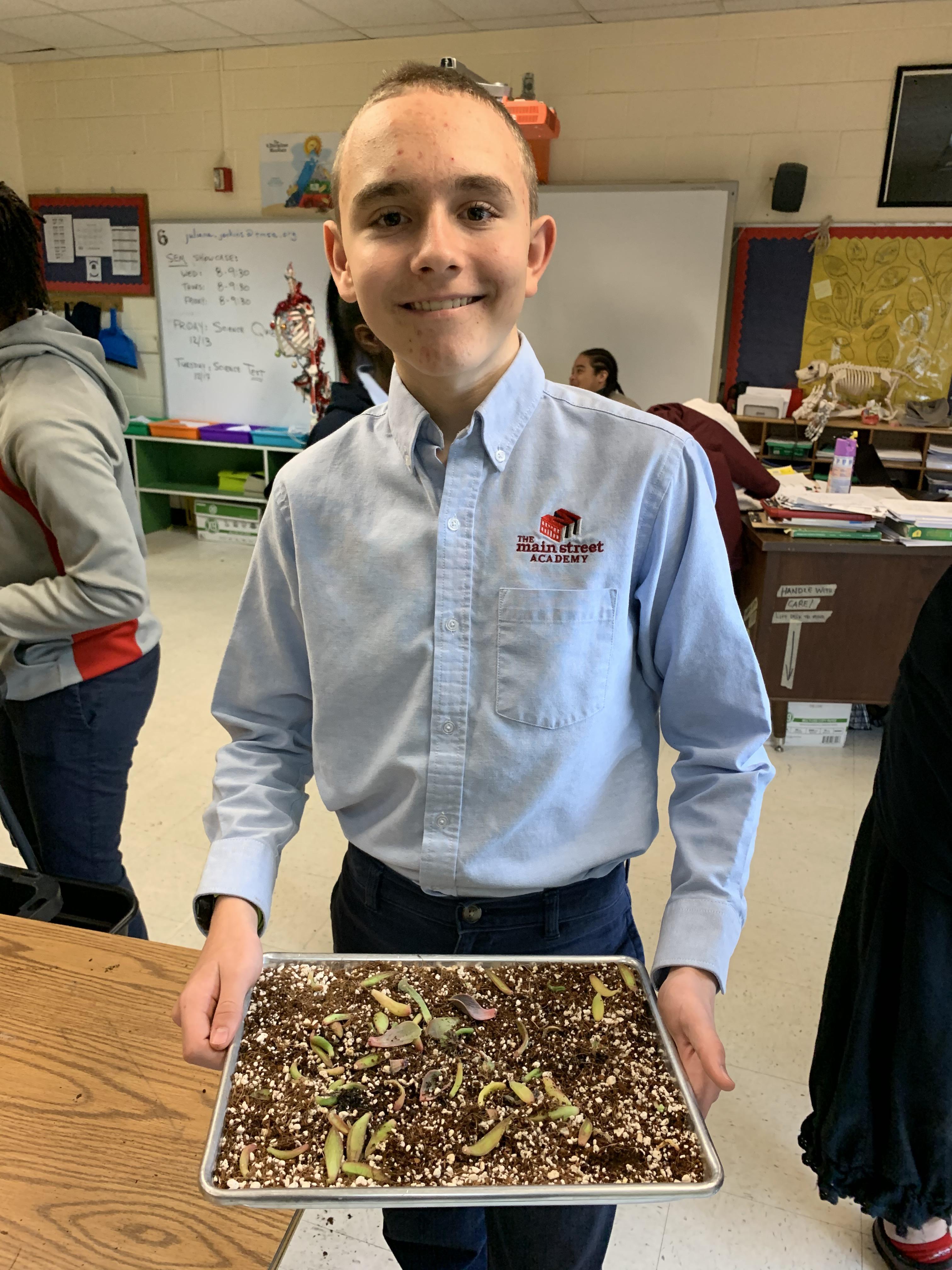 Schoolwide Enrichment Model (SEM) – Curriculum – The Main Street Academy