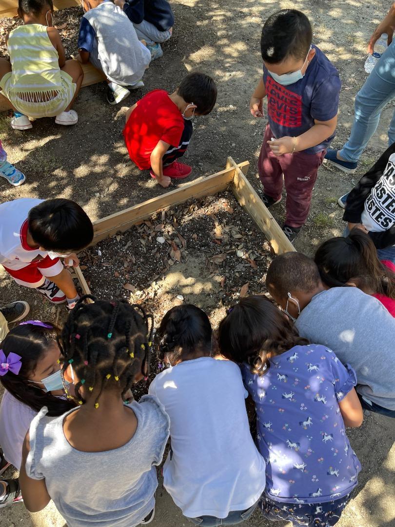 Growing Great in Early Childhood Education – Growing Great – Gratts ...