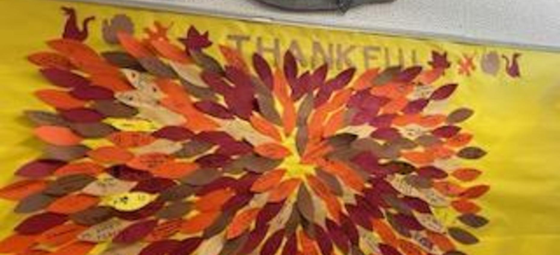 Mira Catalina Elementary